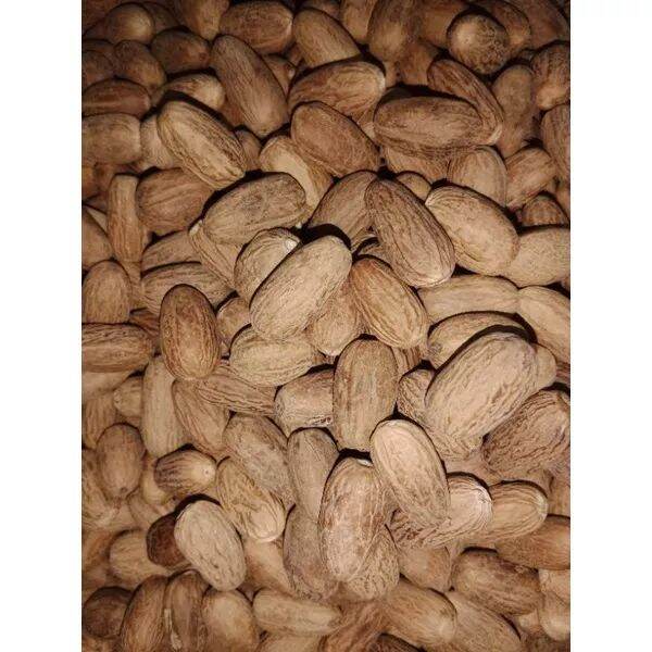 biji pala panjang 1 kg biji pala panjang utuh 1kg | Lazada Indonesia