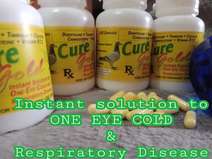 Cure Gold (20 pcs )(Mabisang gamot sa ONE EYE COLD at sipon ng kalapati ...