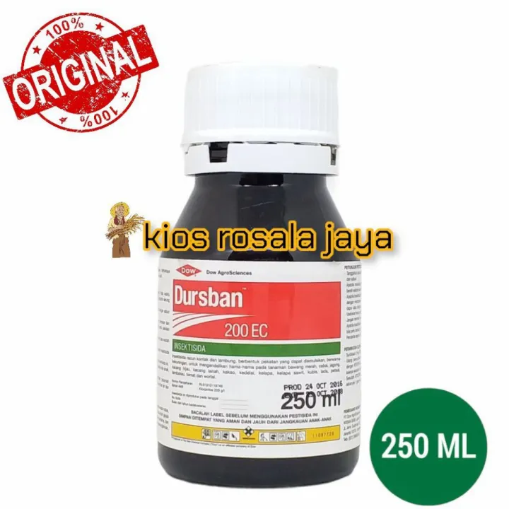 Insektisida Dursban 500 EC 250ml | Lazada Indonesia