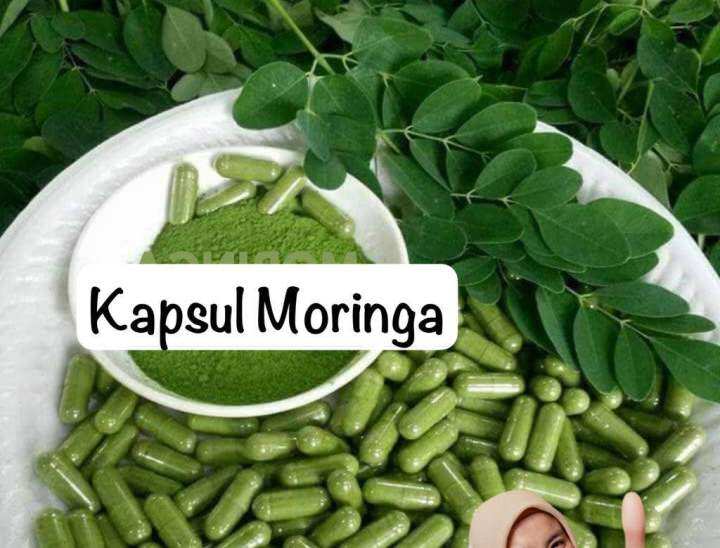 KAPSUL MORINGA | Lazada