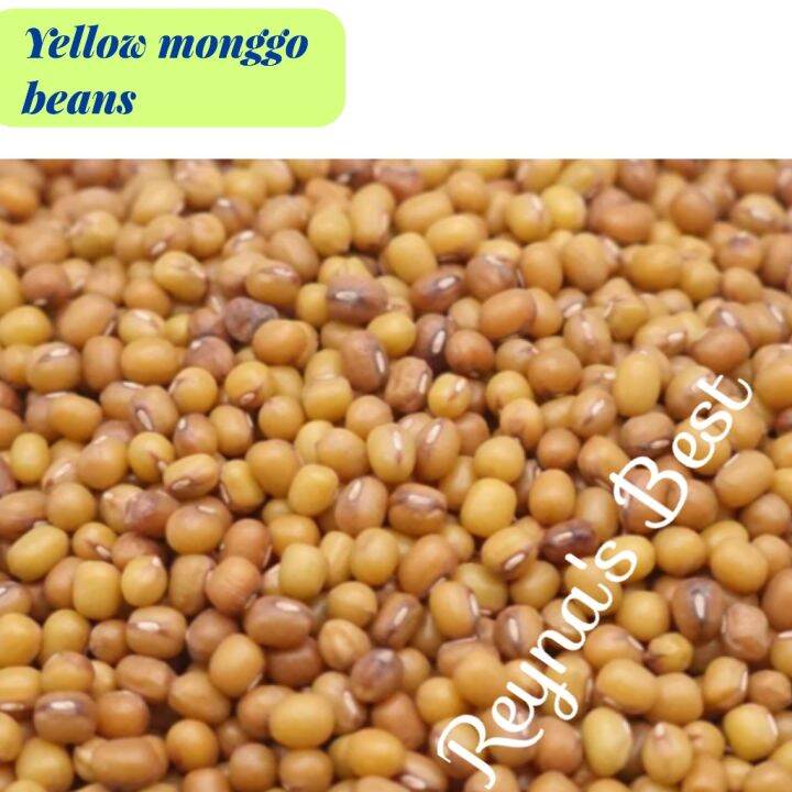 Monggo beans Yellow Monggo / Mung beans 500g-1kg(good quality Lowest ...