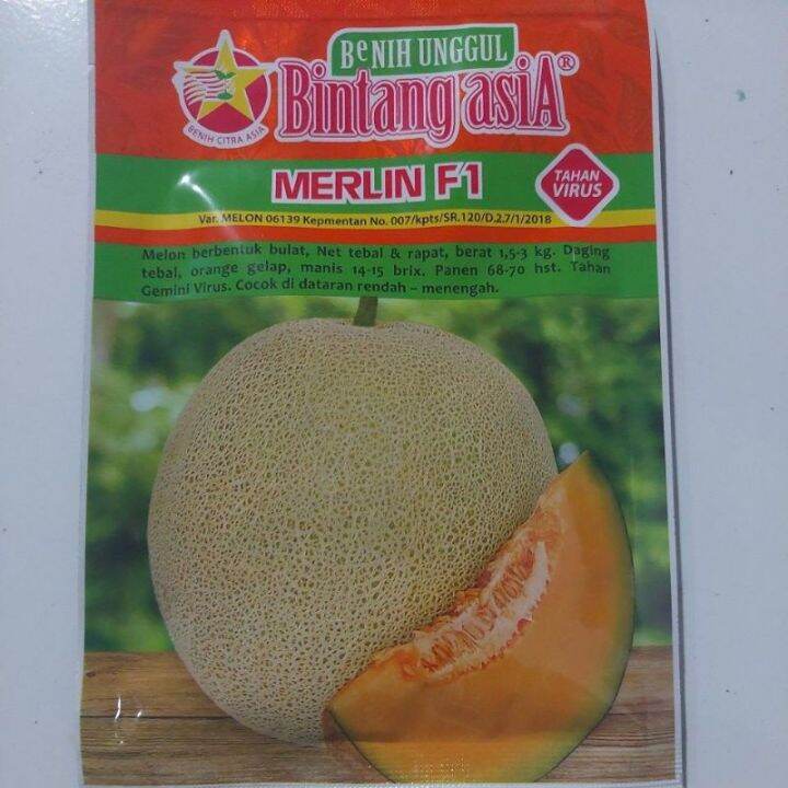 Benih bibit Melon Merlin F1 20 gram kemasan original pabrik | Lazada ...