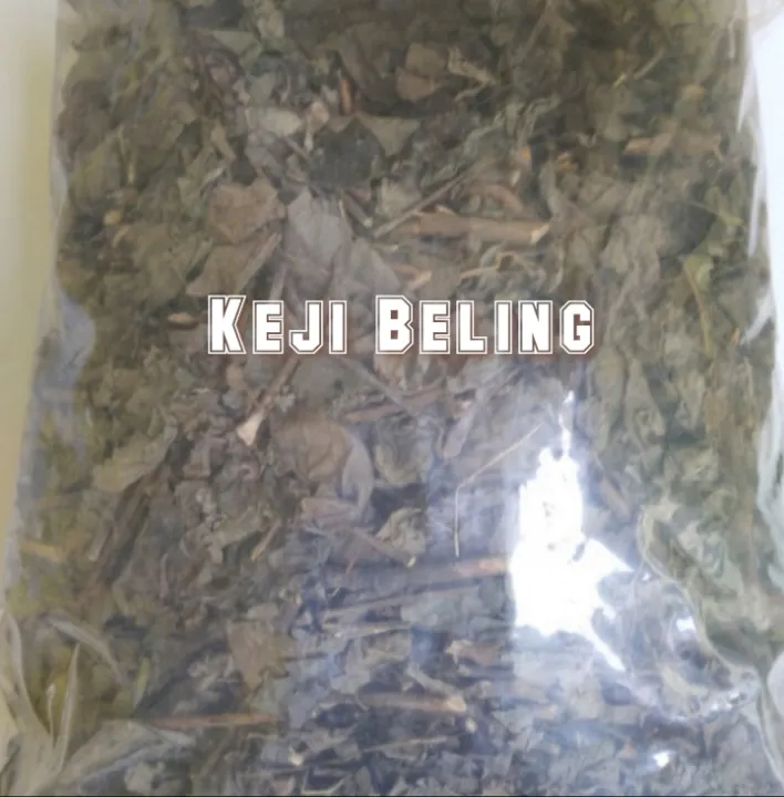 Herbal daun keji beling kering original 1kg | Lazada Indonesia