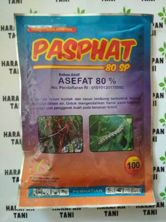 INSEKTISIDA PASPHAT 80WP bahan aktif asefat 80% | Lazada Indonesia