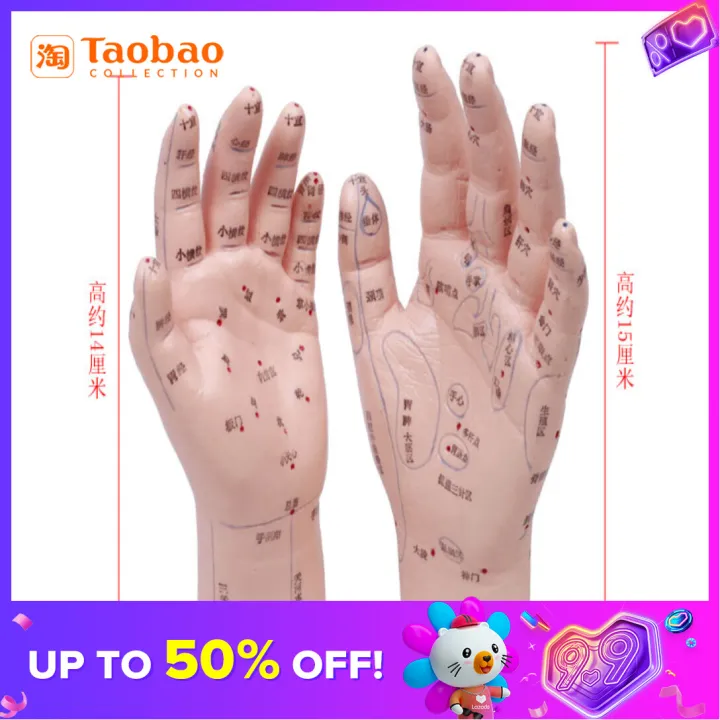 Hand and Ear Foot Model Foot Massage Model Foot Foot Foot Reflex Zone ...