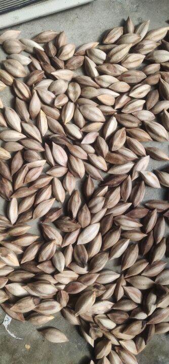 New Harvest Pili Nuts with shell 100pcs | Lazada PH