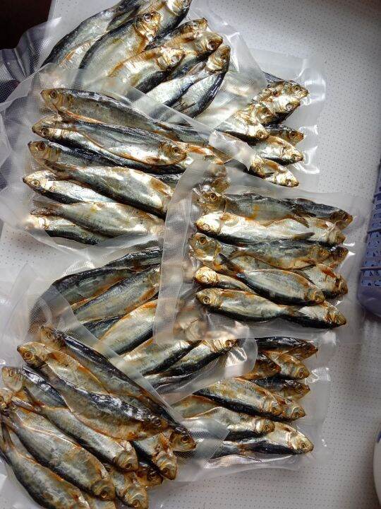 VACUUM SEALED DRIED UNSALTED TUYO 160g | Lazada PH