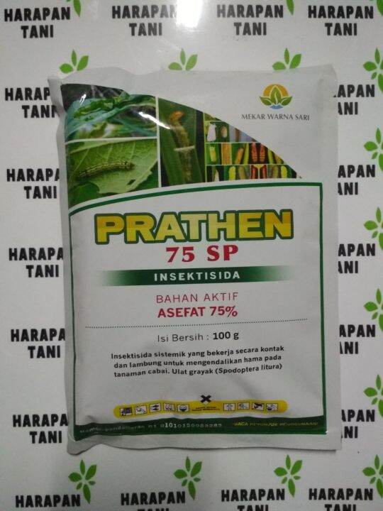 Insektisida prathen 75wp bersifat sistemik kandungan bahan aktif asefat ...