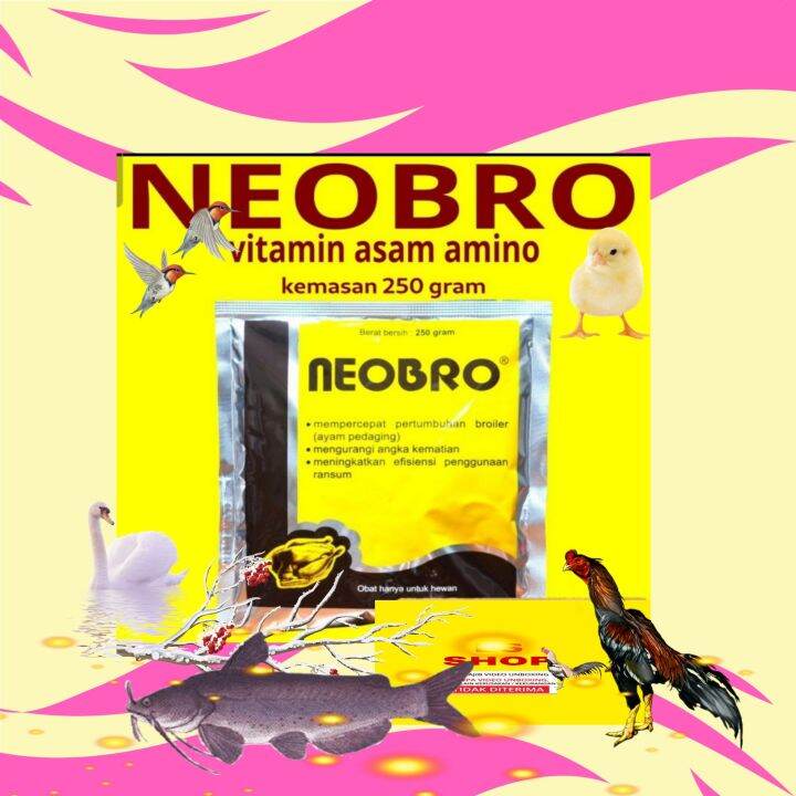 DUA SASET NEOBRO 250 GR OBAT NAFSU MAKAN GEMUK PACU CEPAT BESAR BURUNG ...