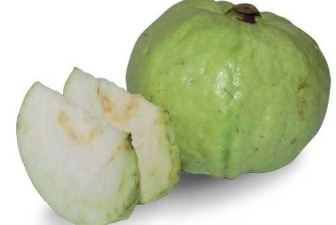 40 biji benih jambu kristal bangkok | Lazada Indonesia