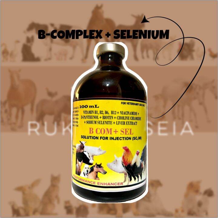 VITAMIN BCOMPLEX + SELENIUM | Lazada PH