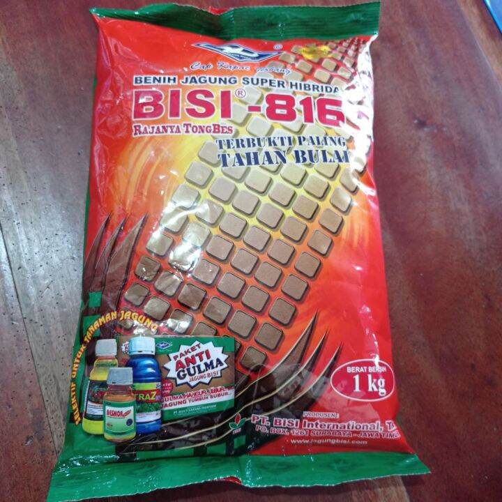 Benih Jagung Bisi 816 1 Kg 4466 Biji Hibrida F1 Super Tahan Bulai