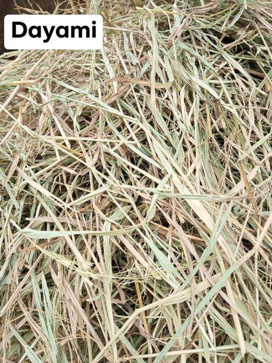 500 grams Dayami ng Palay | Lazada PH