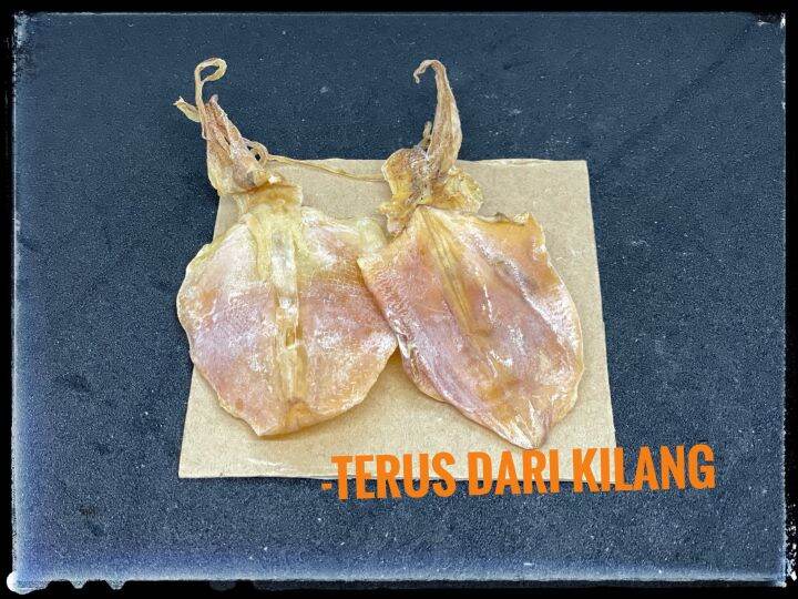Sotong Kering 100gram | Lazada