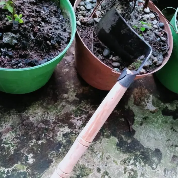 Kored rumput baja asli super tajam cangkul kecil | Lazada Indonesia
