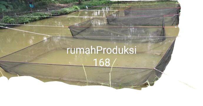 keramba waring ikan 4m x 6m x 1m kerambah jaring apung kolam ikan ...