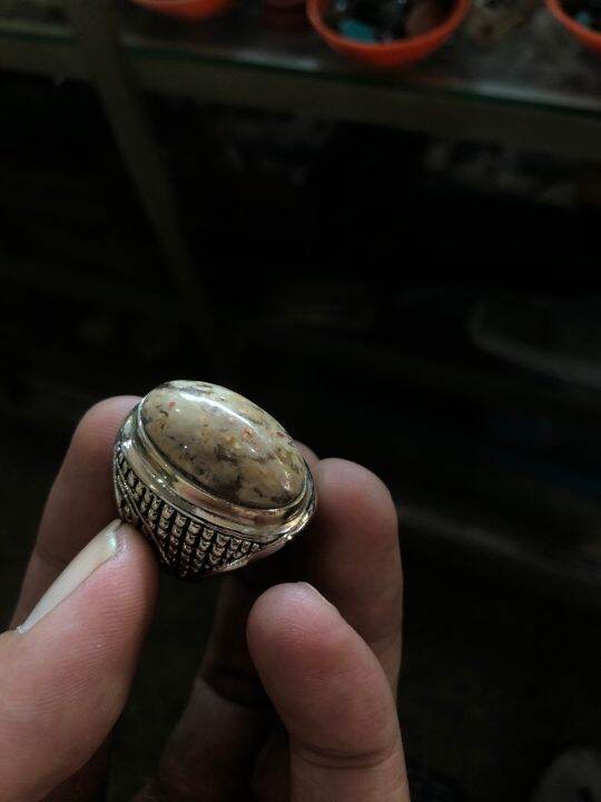 Batu akik fosil liwung lawu asli dim 24x12x9 emban alpaka super no 9 ...