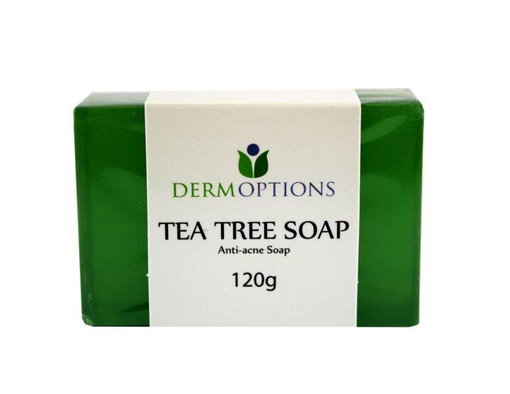 Derm Options Tea Tree Soap 120g | Lazada PH