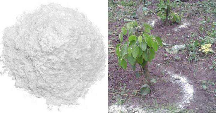 Dolomite Powder (Ground Magnesium Limestone) Kapur Pertanian Kapur ...