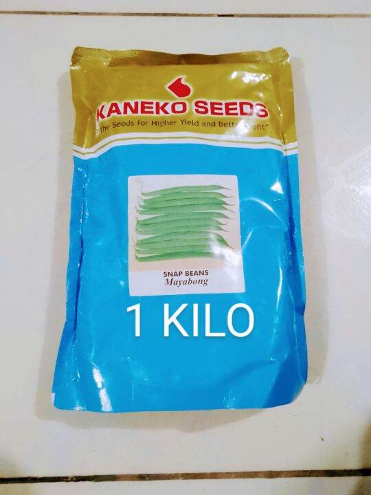 MAYABONG OPV SNAP BEANS (1 KILO )KANEKO SEEDS | Lazada PH