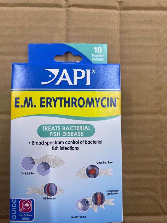 Api Erythromycin | Lazada PH