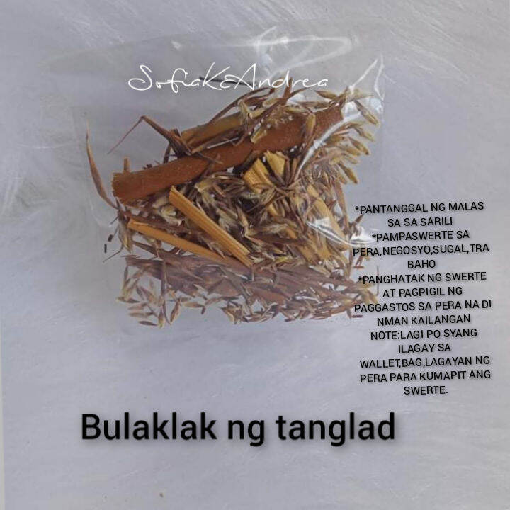 bulaklak Ng tanglad pampaswerte | Lazada PH