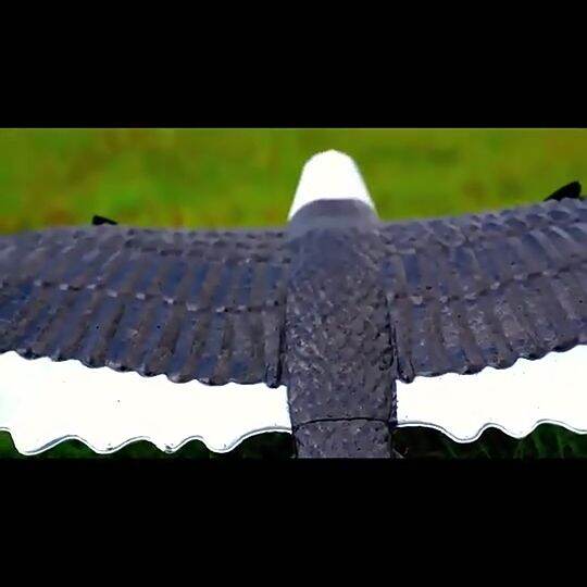 Lzyancy【ready stock】FX651 2.4G Remote Control Eagle Aircraft Fixed-wing ...