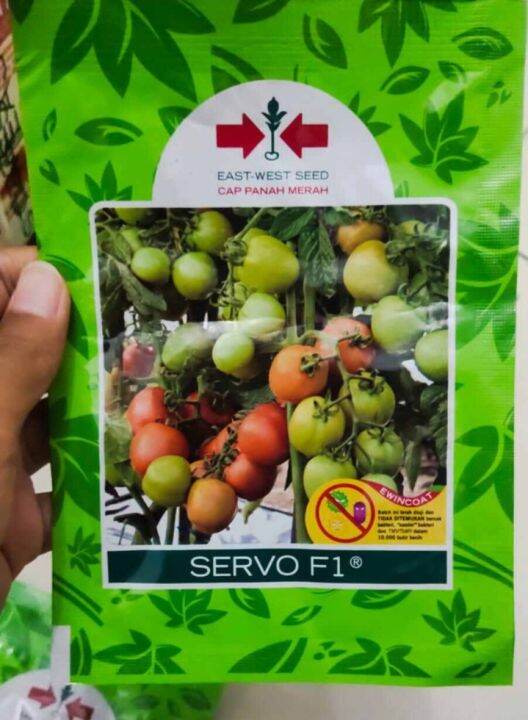 Benih tomat servo F1 panah merah | Lazada Indonesia