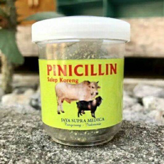 PINICILLIN PINICILIN PINISILIN OBAT SALEP KORENG KUDIS PADA SAPI KERBAU ...