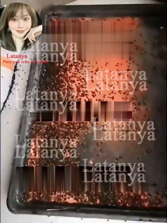 500 flies killed in 1 minute fly killer trap flies repellent Fly ...