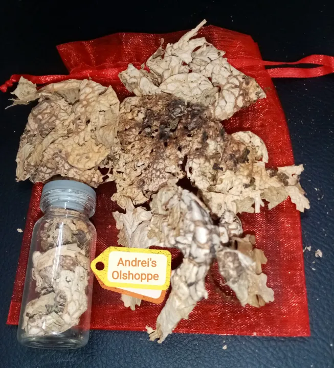 Bahay Ng Alitaptap isa maganda pangpaswerte or pang atract ng pera ...