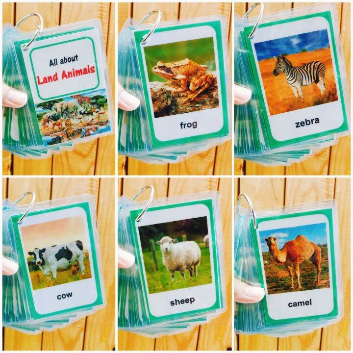 Land animals educational laminated flashcards | Lazada PH