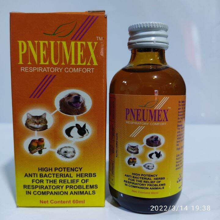 PNEUMEX (60ml) respiratory comfort | Lazada PH