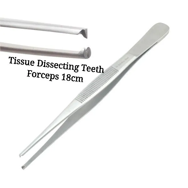 stainless Steel Tissue Dissecting Forceps Teeth 20cm | Lazada