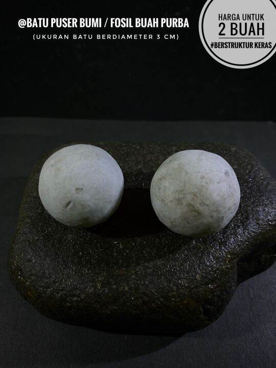Batu Puser Bumi G2 atau Batu Gono Alam atau Batu Gluduk atau Fosil Buah ...