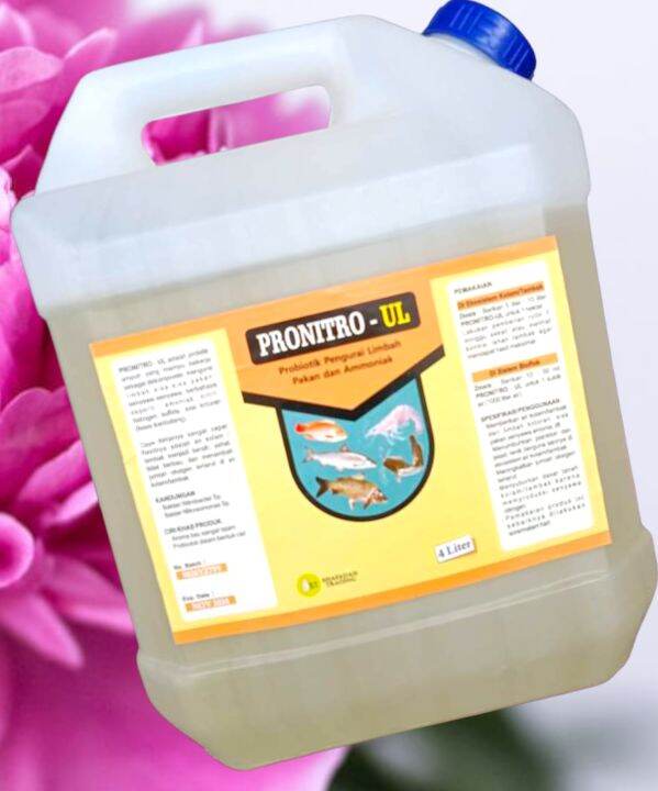 Probiotik Nitrobacter sp utk Kolam Terpal/ Bioflok Ikan Lele, Nila ...