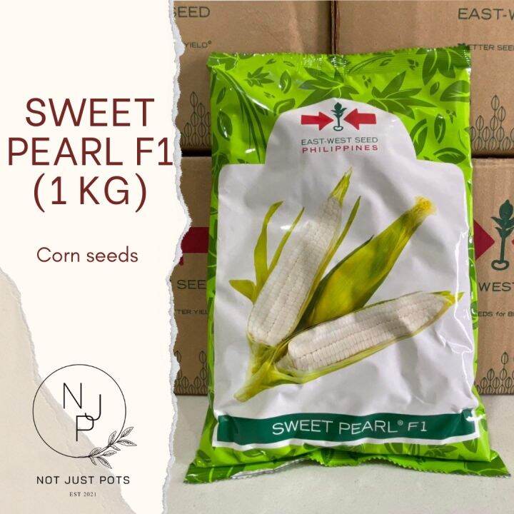 [EASTWEST SEEDS] SWEET PEARL F1 CORN SEEDS (1 KILO) | Lazada PH