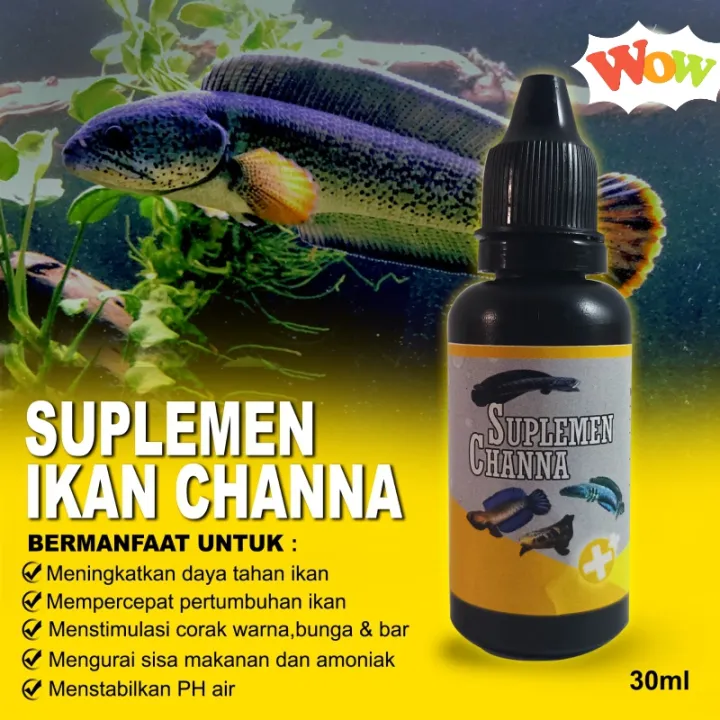 Suplemen Vitamin Ikan Channa Obat Probiotik Channa Mutasi Warna | Lazada Indonesia