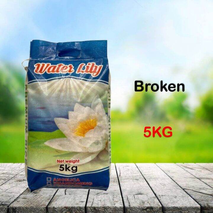Water Lily/ Broken 5kg | Lazada PH