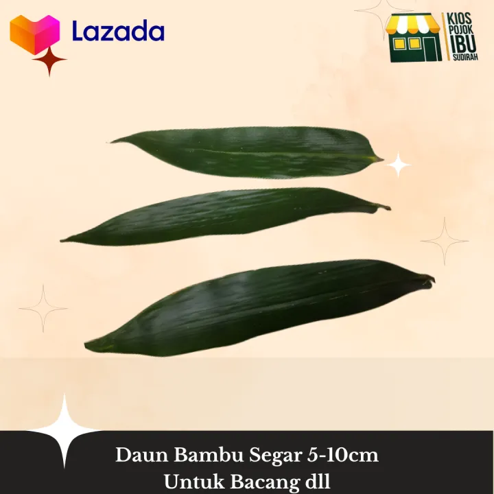 Daun Bambu Segar 5-10cm Bacang Bakcang dll | Lazada Indonesia