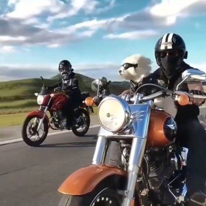 【จัดส่งจากกรุงเทพฯ】กระเป๋าปั่นจักรยาน รถจักรยานยนต์ผ้าใบอานกระเป๋าม้า ...