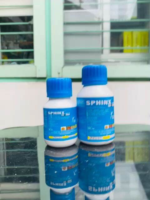 Fungisida sistemik SPHINX dari Royal Agro bisa untuk perlakuan benih jagung aman dari bulai ...