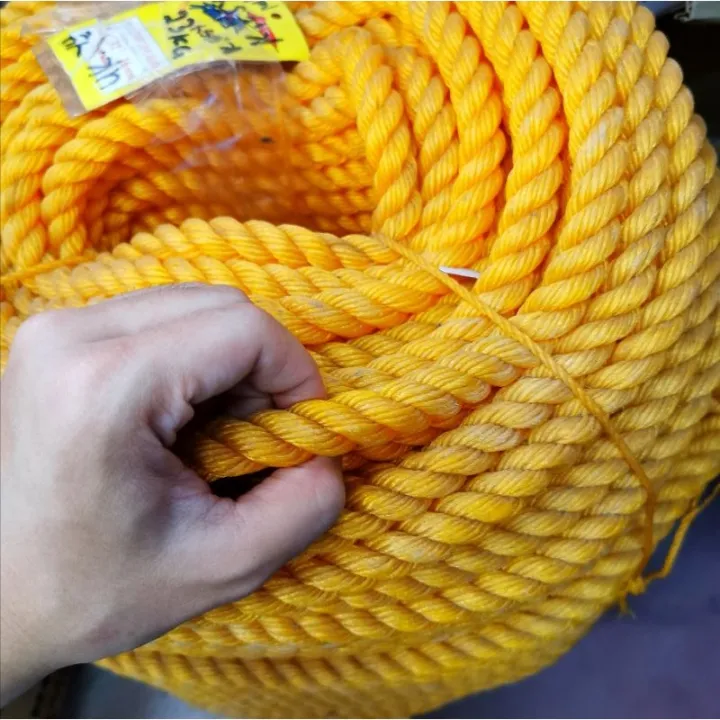 (200meters) 16mm Nylon Rope Tali Lubid | Lazada PH