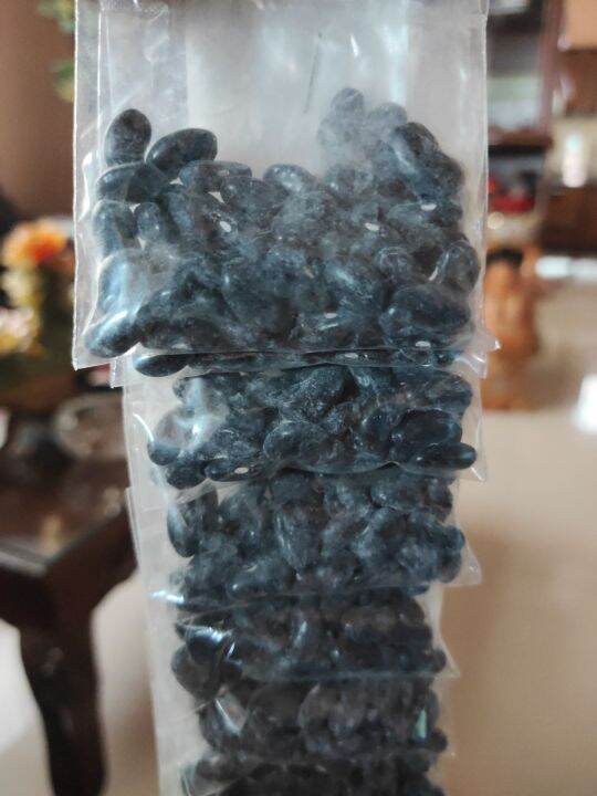 Mayabong Bagiuo Beans (Repacked: 40 Seeds) | Lazada PH