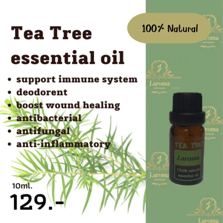 j.aroma น้ำมันหอมระเหยทีทรี สกัดจากธรรมชาติ 100% j.aroma Tea tree ...