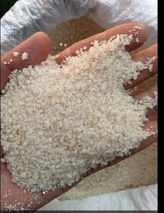 oyek/tiwul/nasi singkong original khas kebumen 1 kg | Lazada Indonesia