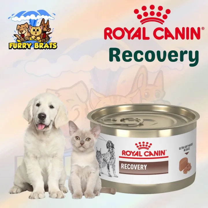 Royal Canin RECOVERY Wet Food Cats and Dogs 195 grams | Lazada PH