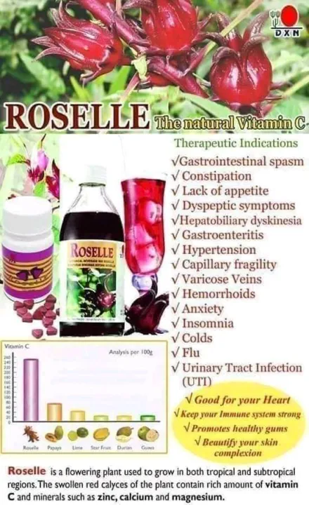 ROSELLE TABLETS 120 PIECES | Lazada PH