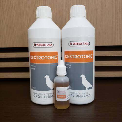 DEXTROTONIC SUPLEMEN VITAMIN DOPING MERPATI KEMASAN REPACK 30ML | Lazada Indonesia