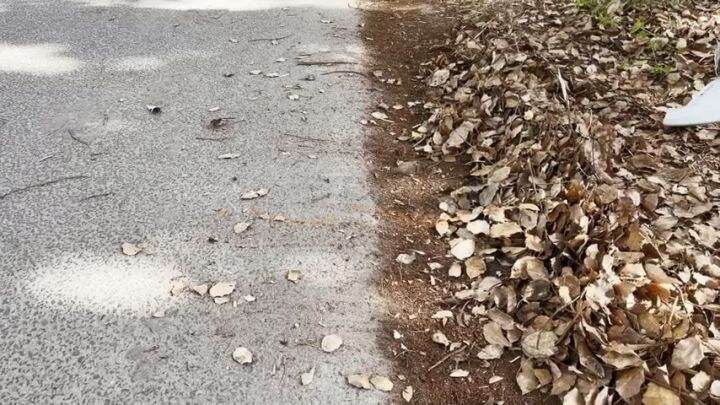 Sapu Garuk Besi 9/15 Gigi Penggaruk Daun Teleskopik Scalable Garden ...